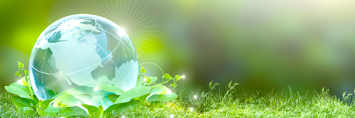 環境 | 日光ケミカルズ株式会社