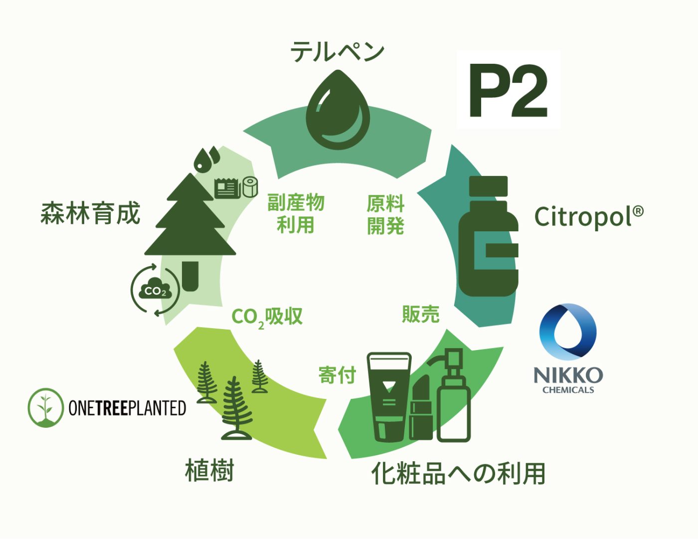 【新製品Citropol®】地球環境に貢献可能な化粧品用油性原料〜購入により植樹活動にも貢献〜 | 日光ケミカルズ株式会社